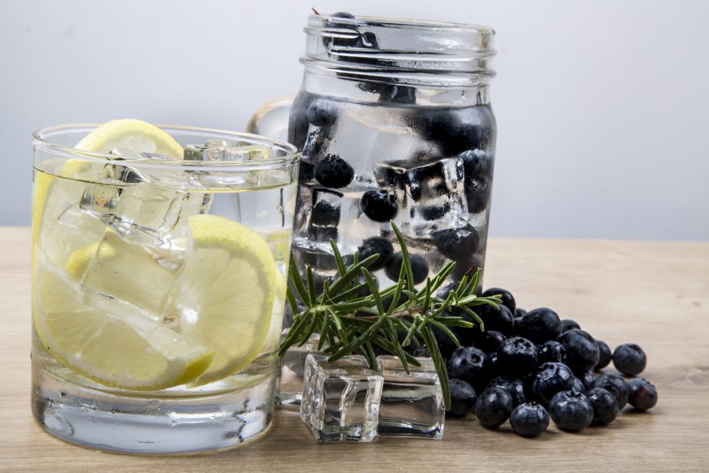 Gin and Tonic | Westermans Blog